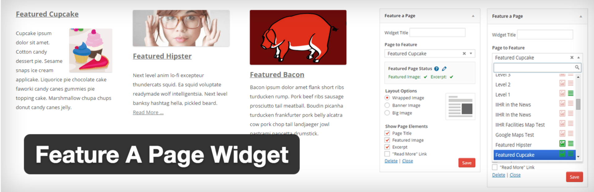 Feature a Page Widget PlugIn - Ein WordPress ToolTipp