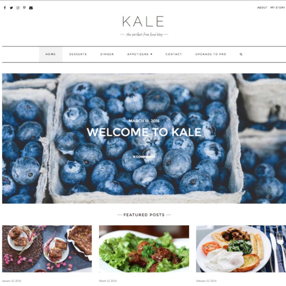 Confit WordPress Theme - Ein WordPress ToolTipp